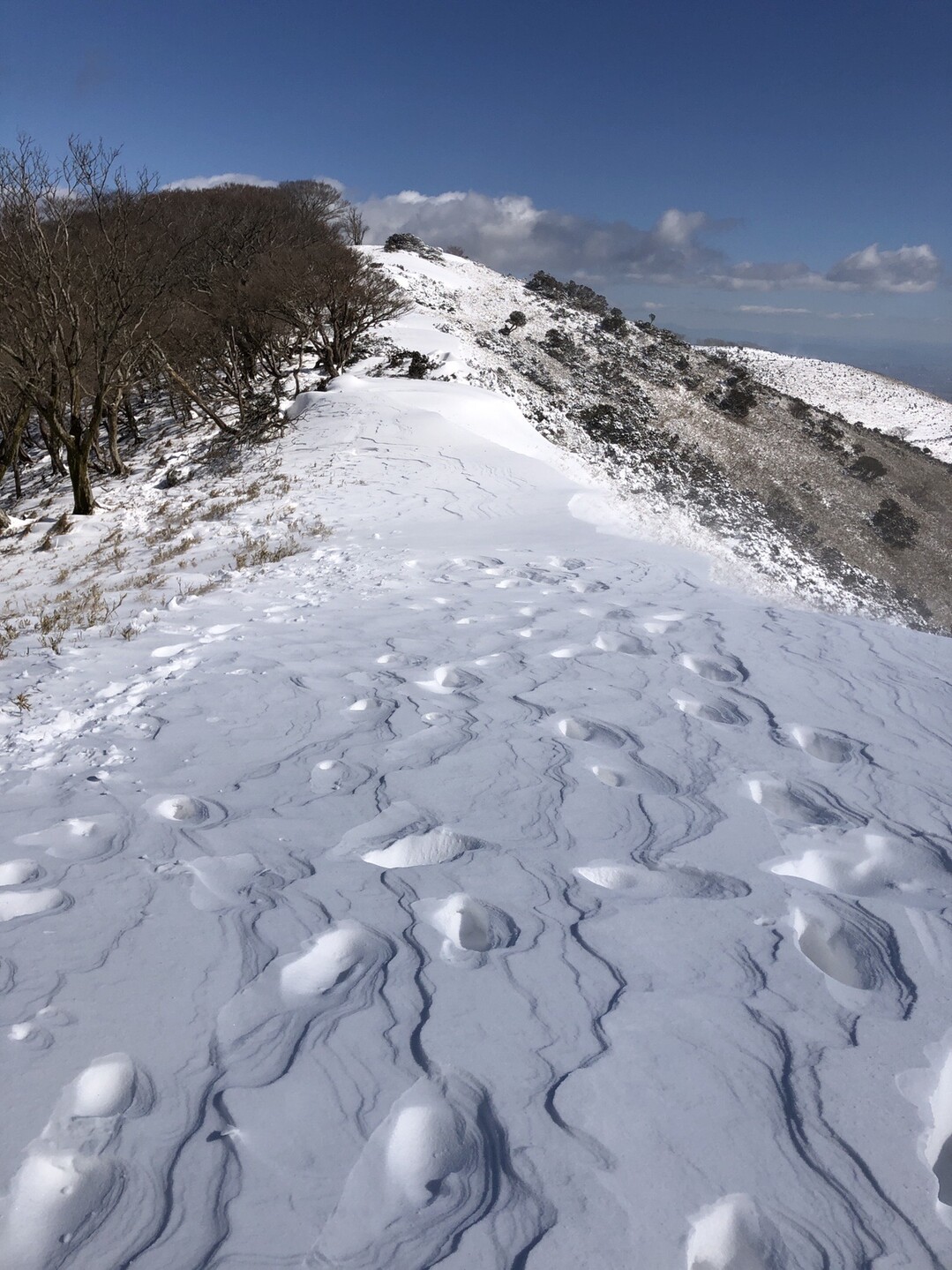 竜ヶ岳（三重県・滋賀県）-2020-02-09 / aspiさんの竜ヶ岳の活動データ | YAMAP / ヤマップ