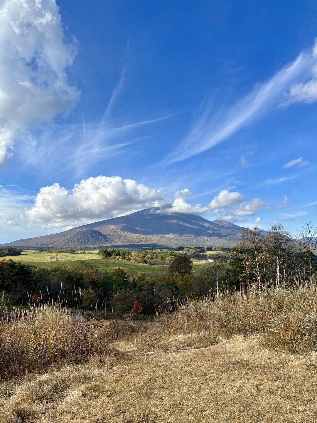 天丸山の紅葉🍁 / qkaruさんの鼻曲山・氷妻山・留夫山の活動データ | YAMAP / ヤマップ