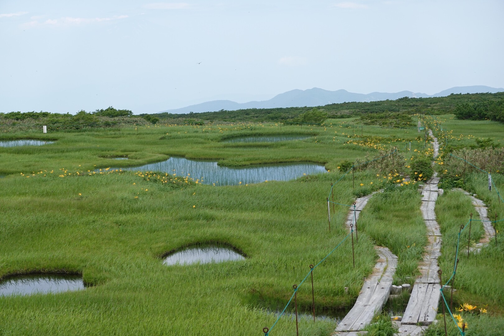 2024-07-16_月山（弥陀ヶ原） / NKさんの月山の活動データ | YAMAP / ヤマップ