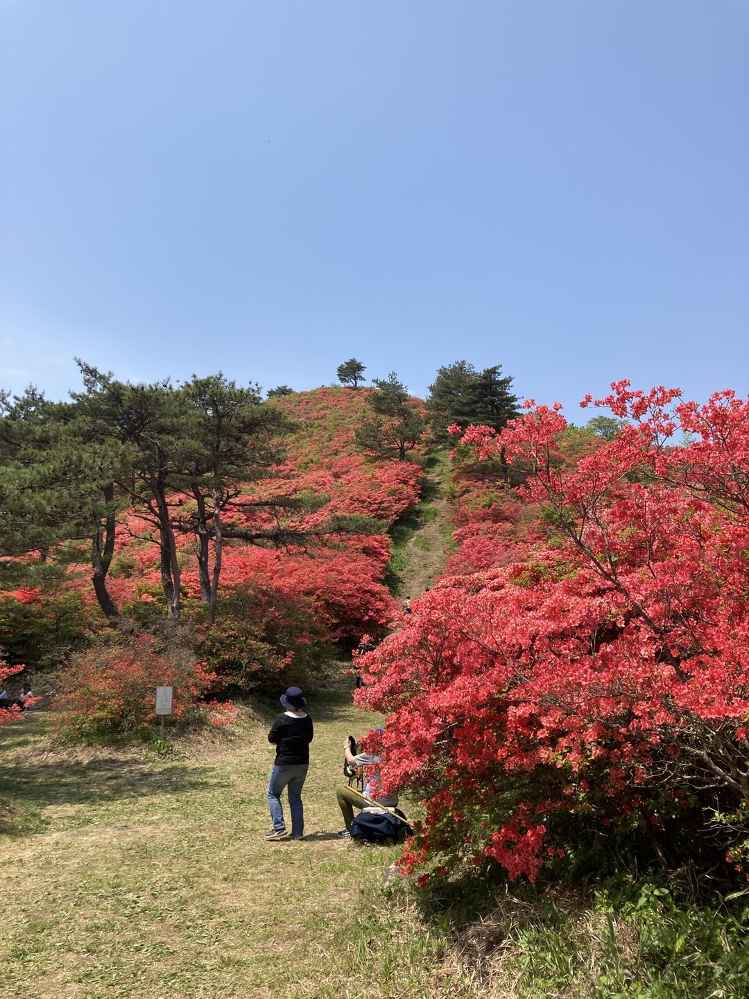 徳仙丈山 / mura yanさんの徳仙丈山の活動データ | YAMAP / ヤマップ