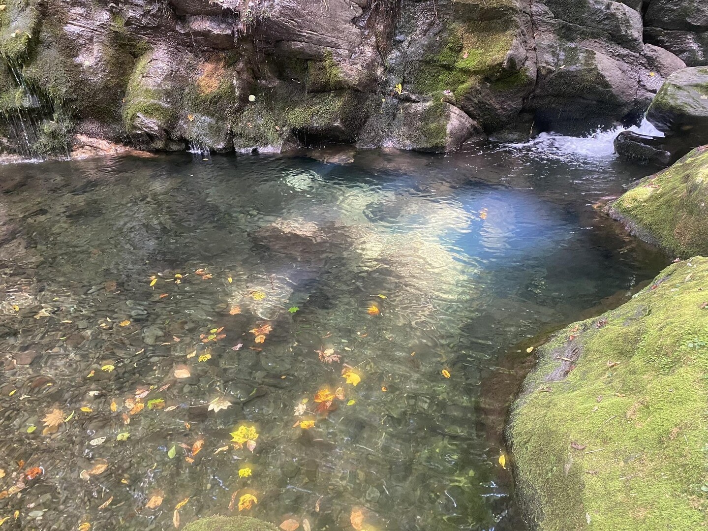 八甲田 下寒水沢〜上寒水沢F1 / ふくろうさんの八甲田山・高田大岳・雛岳の活動データ | YAMAP / ヤマップ