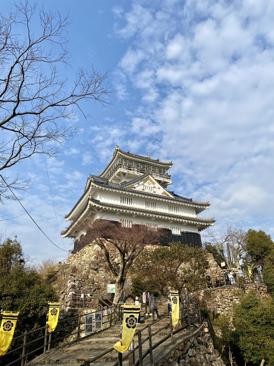 金華山 2024-03-17 / TA-oneさんの金華山・洞山・舟伏山の活動データ | YAMAP / ヤマップ