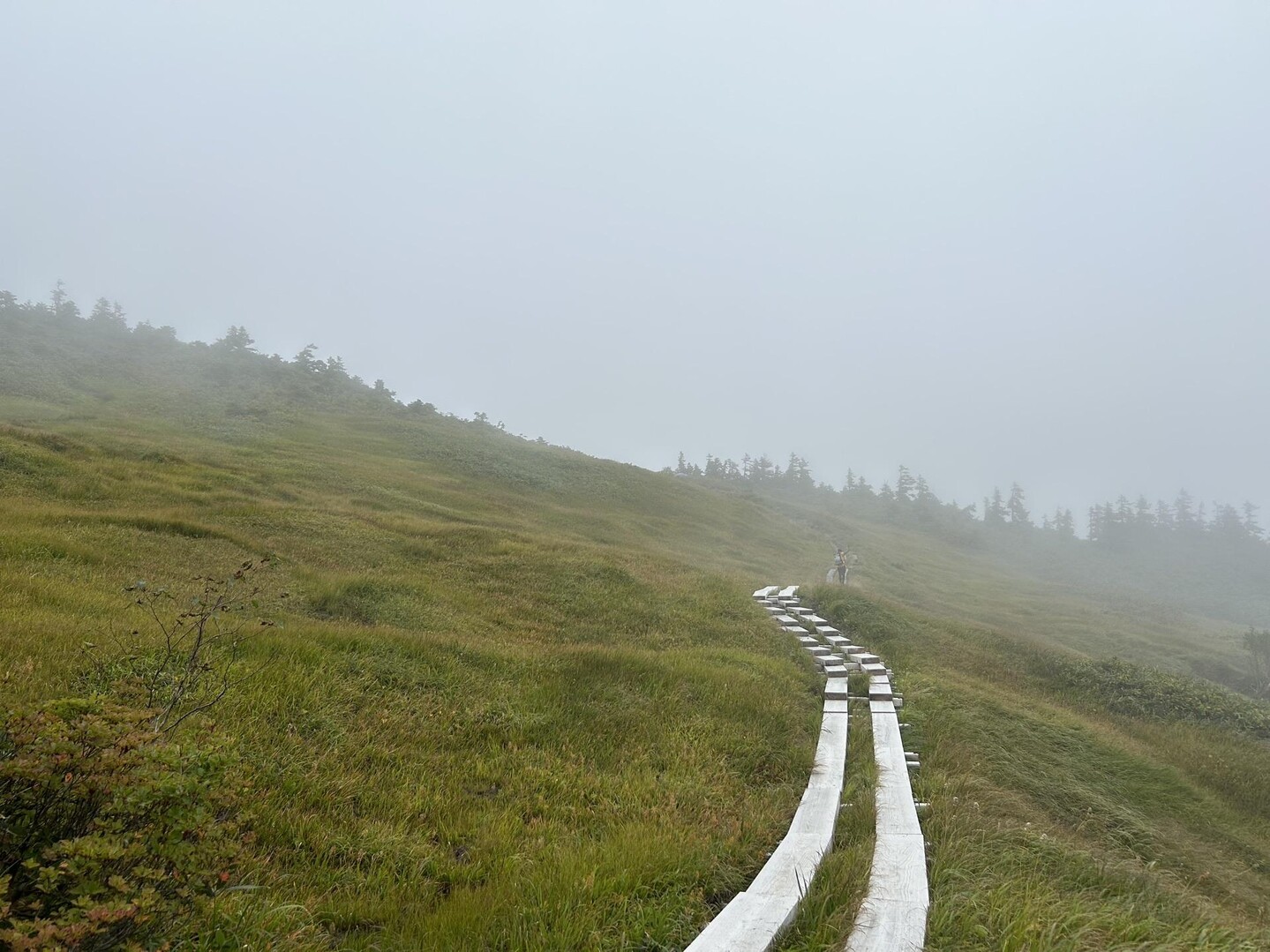 会津駒ヶ岳・中門岳 / TJ -azuさんの会津駒ヶ岳の活動データ | YAMAP / ヤマップ