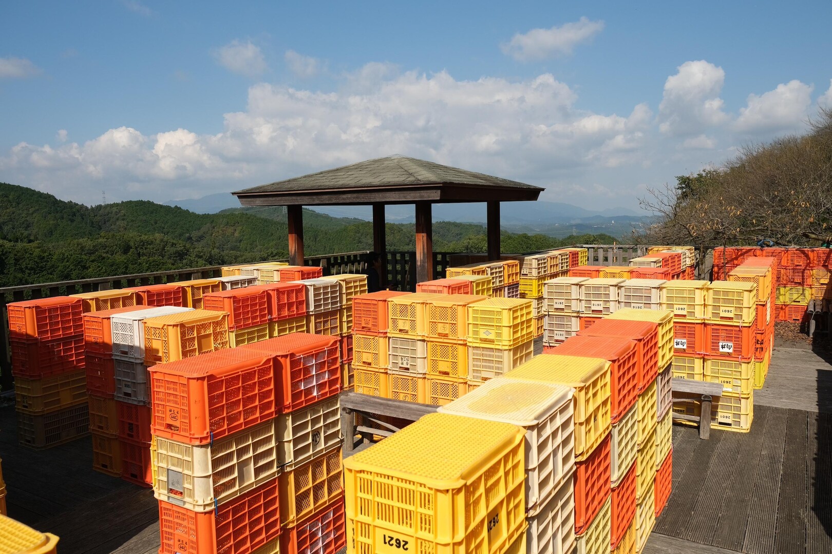 栃原岳-2023-10-16 / yosucoさんの栃原岳の活動データ | YAMAP / ヤマップ