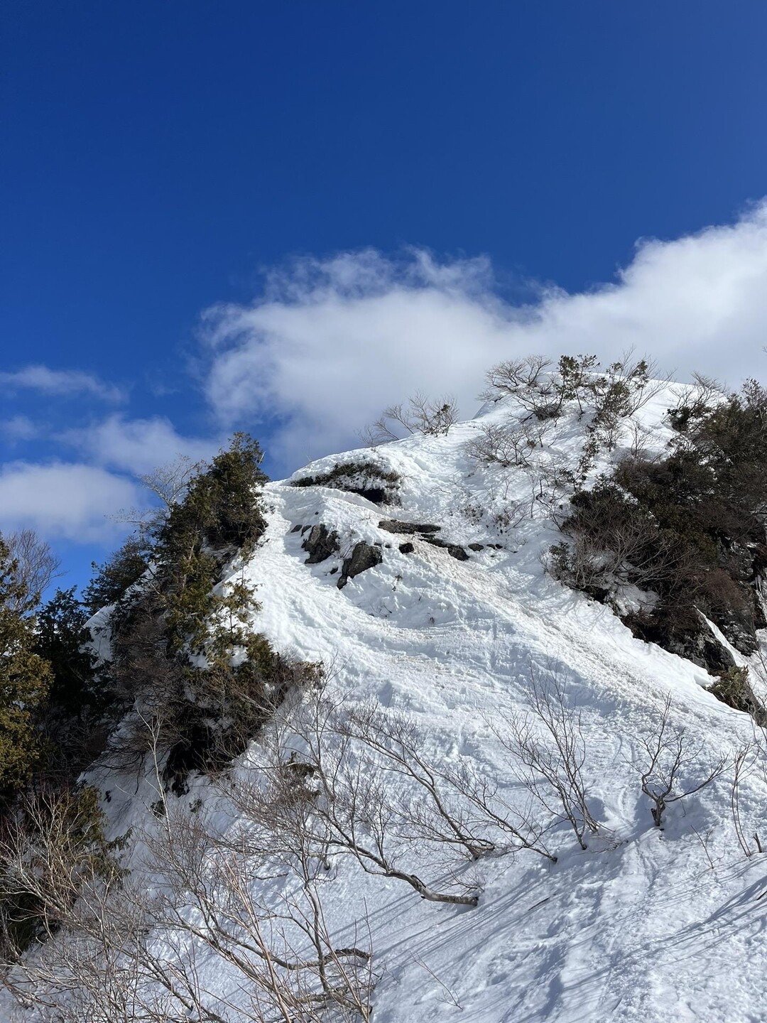 Hideyan🐶さんの投稿したフィールドメモ | YAMAP / ヤマップ