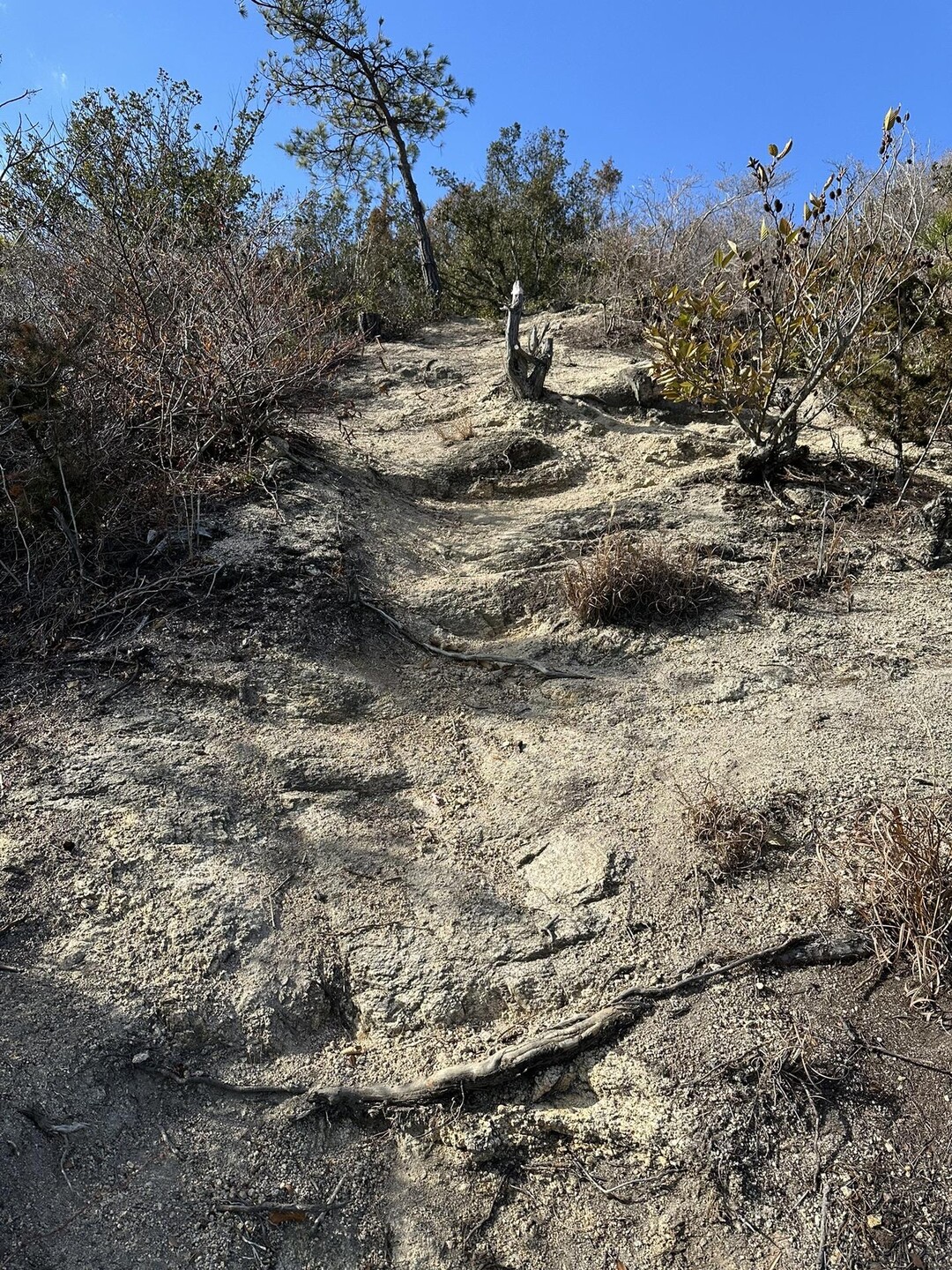 GOSAYさんの投稿したフィールドメモ | YAMAP / ヤマップ