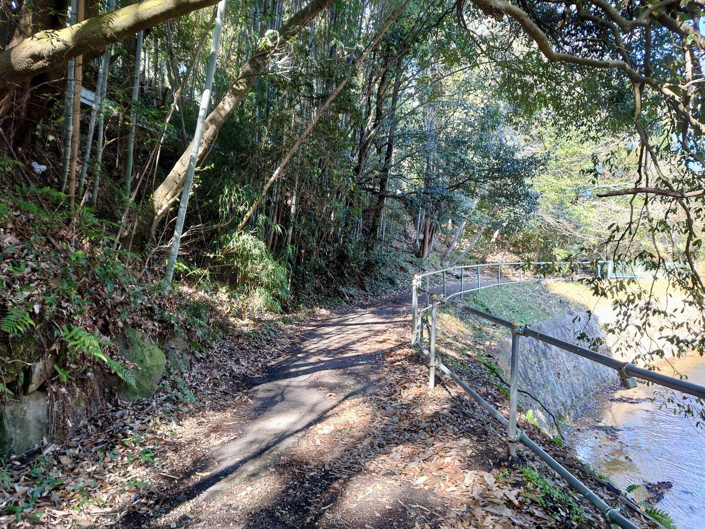 道樹山 / 魂ちゃんFIREさんの春日井三山・弥勒山・大谷山・道樹山の活動データ | YAMAP / ヤマップ