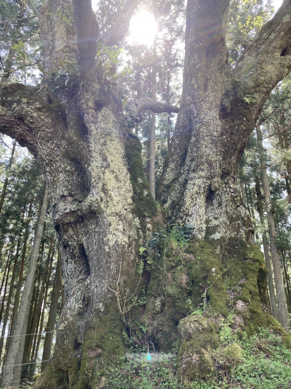 THIS Moment♬ THIS ... / HRKさんのモーメント | YAMAP / ヤマップ