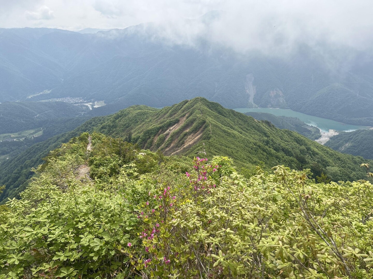 June 2023 🐻野谷荘司山 妙法... / ぽけさんのモーメント | YAMAP / ヤマップ