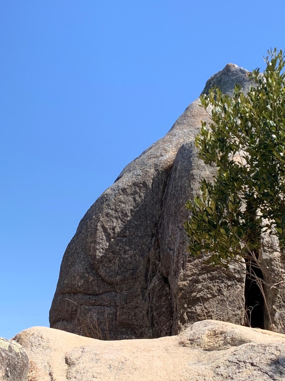 立石山 / yyshigeさんの立石山の活動データ | YAMAP / ヤマップ