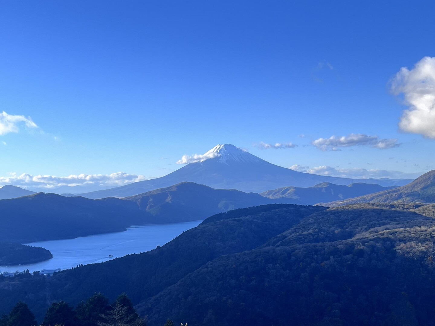大室山 / toruさんの大室山の活動データ | YAMAP / ヤマップ
