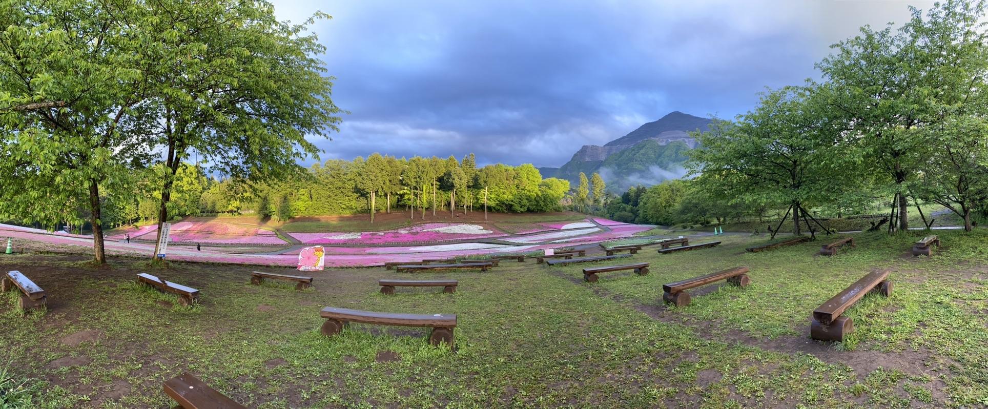 埼玉県秩父市、羊山にて武甲山をバックに芝... / junさんのモーメント | YAMAP / ヤマップ