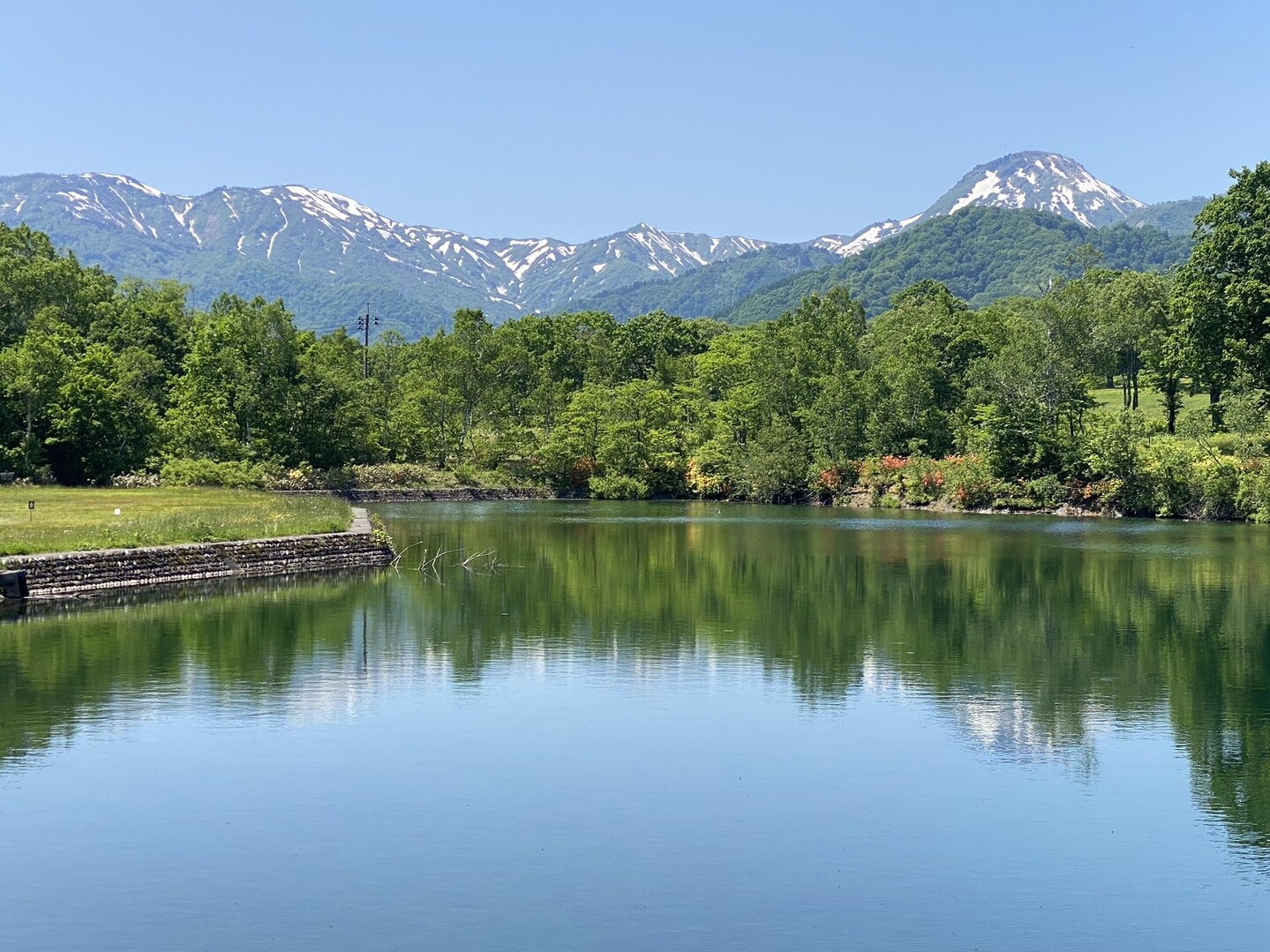 “ROCKIN’ BEAR” 妙高 Trail Running Race🏃‍♀️ / パクチーさんの黒姫山の活動データ | YAMAP / ヤマップ
