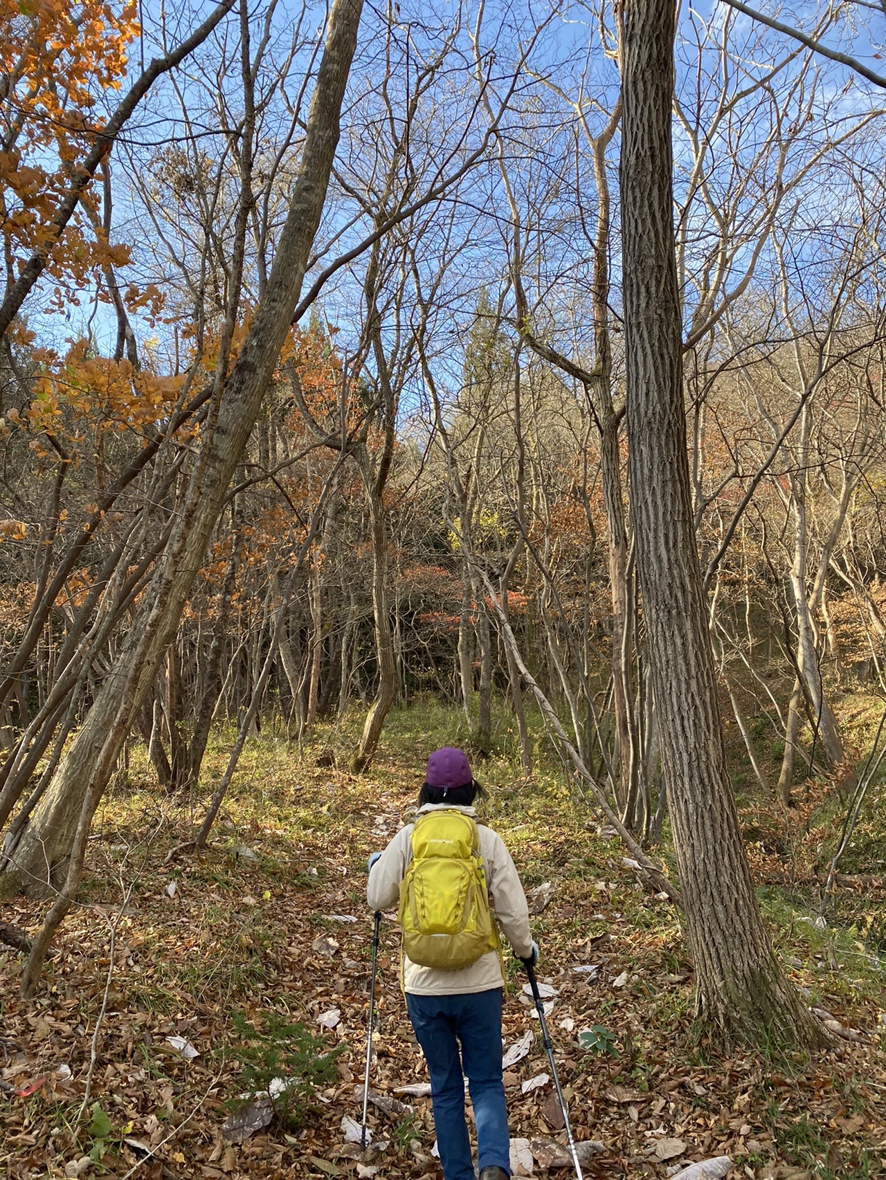 ちょこっと七ツ森（その2） / Shin5さんの七ツ森の活動データ | YAMAP / ヤマップ