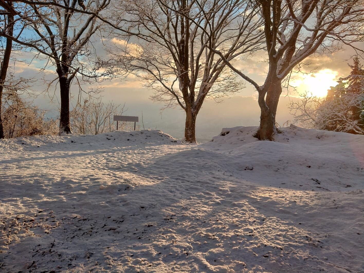 髻山で登り初め / yoさんの三登山・髻山の活動データ | YAMAP / ヤマップ