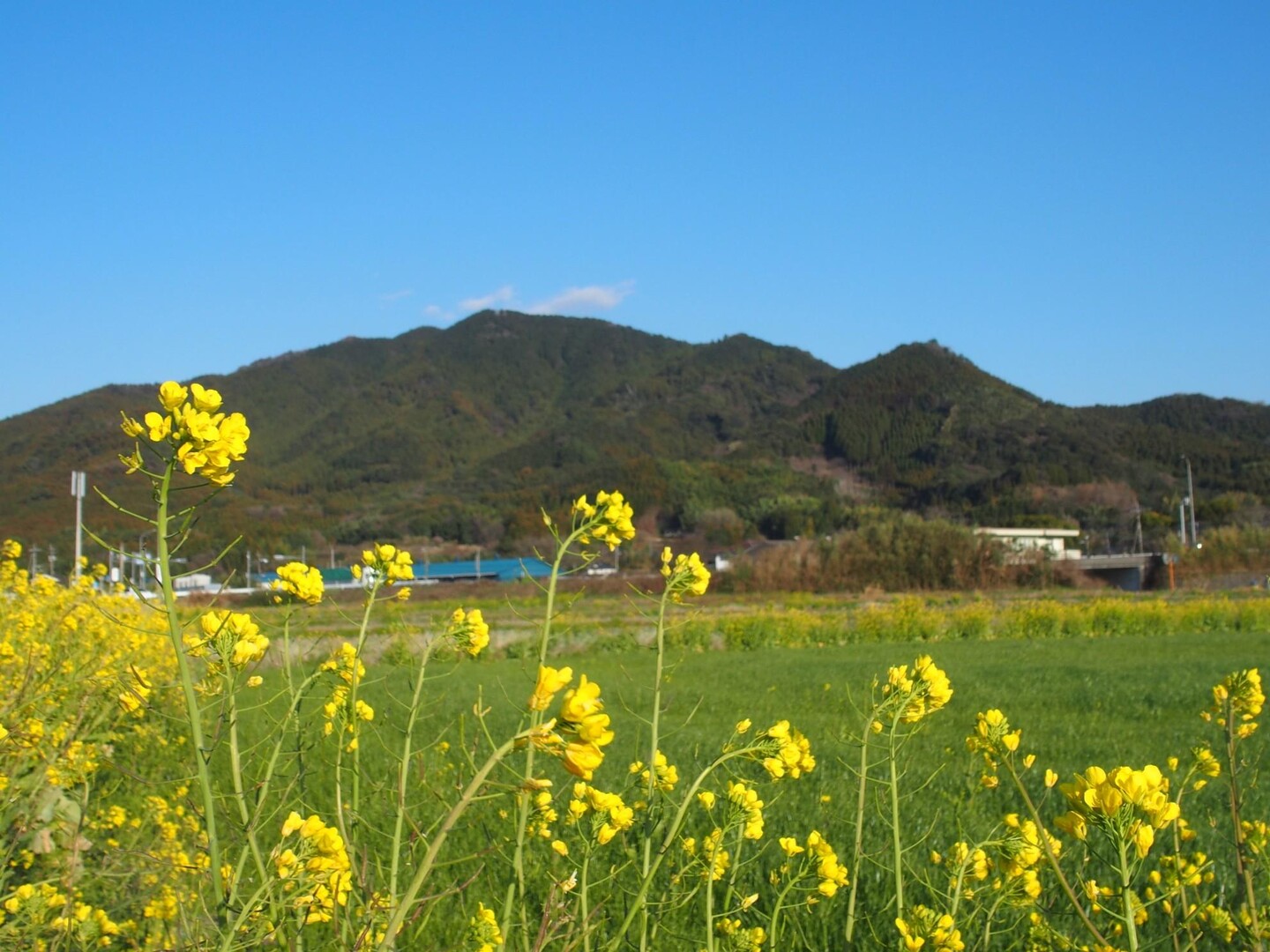 震岳…ピラミダルな山容 / masazyさんの震岳・日輪寺山の活動データ | YAMAP / ヤマップ