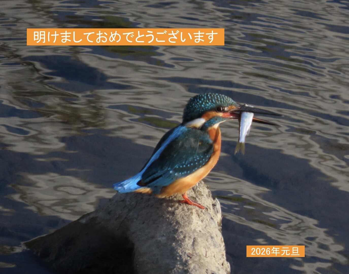 明けましておめでとうございます。 今年も... / lalaさんのモーメント | YAMAP / ヤマップ