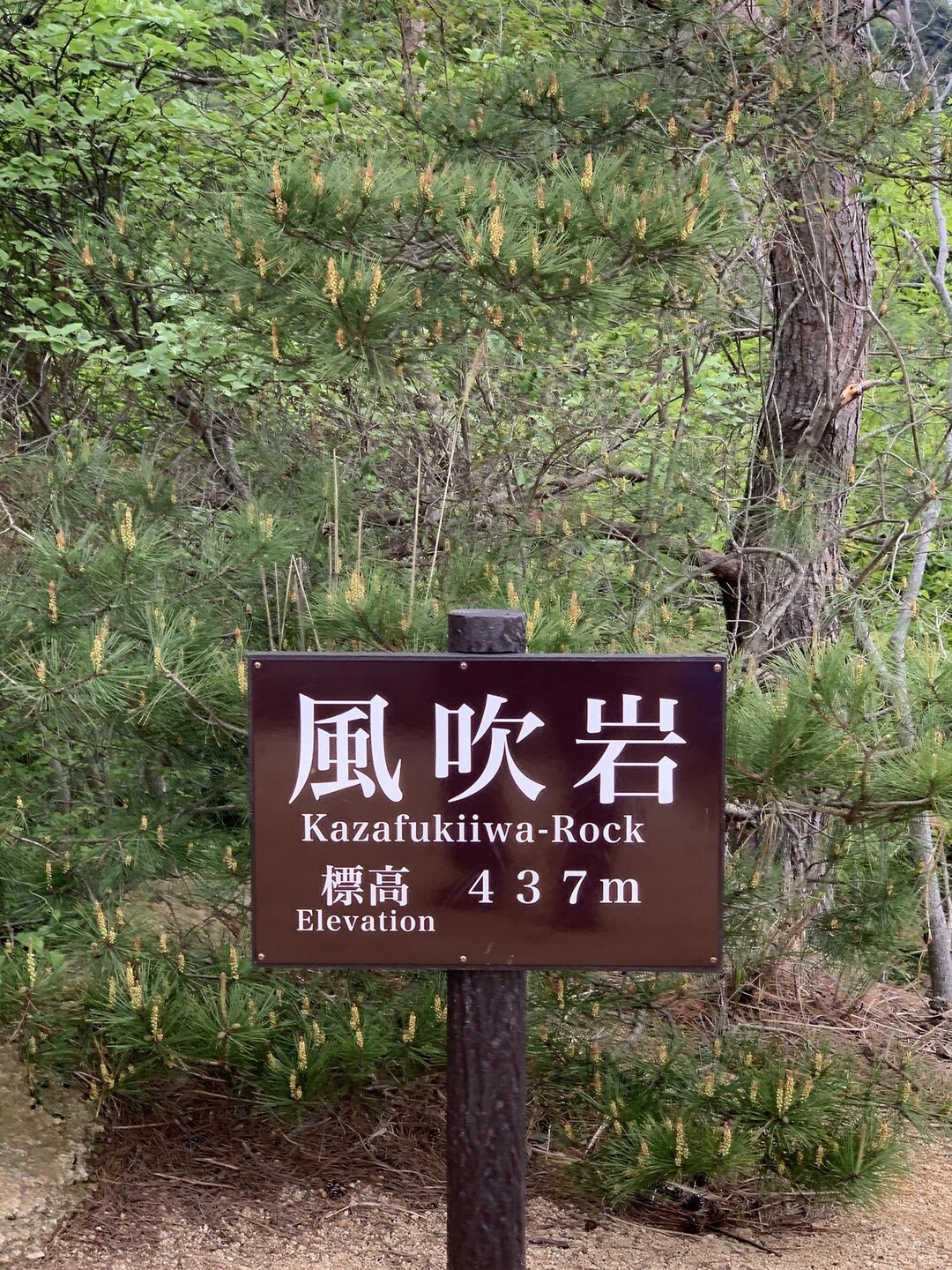 六甲山・愛宕山 / サムライ078さんの六甲山・長峰山・摩耶山の活動データ | YAMAP / ヤマップ