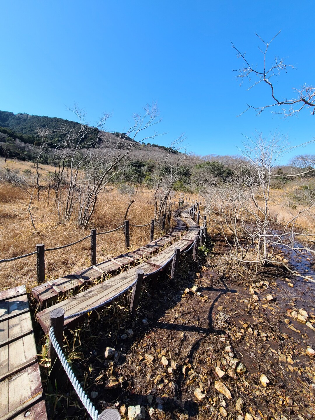 葦毛(いもう)湿原から座談山 / tatubaiさんの坊ヶ峰・石巻山・神石山・葦毛湿原の活動データ | YAMAP / ヤマップ