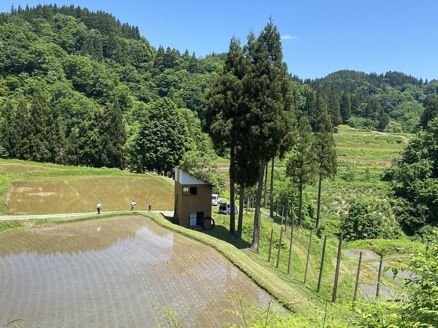 今日は 棚田で田植えのお手伝い もちろん... / mtakoさんのモーメント | YAMAP / ヤマップ