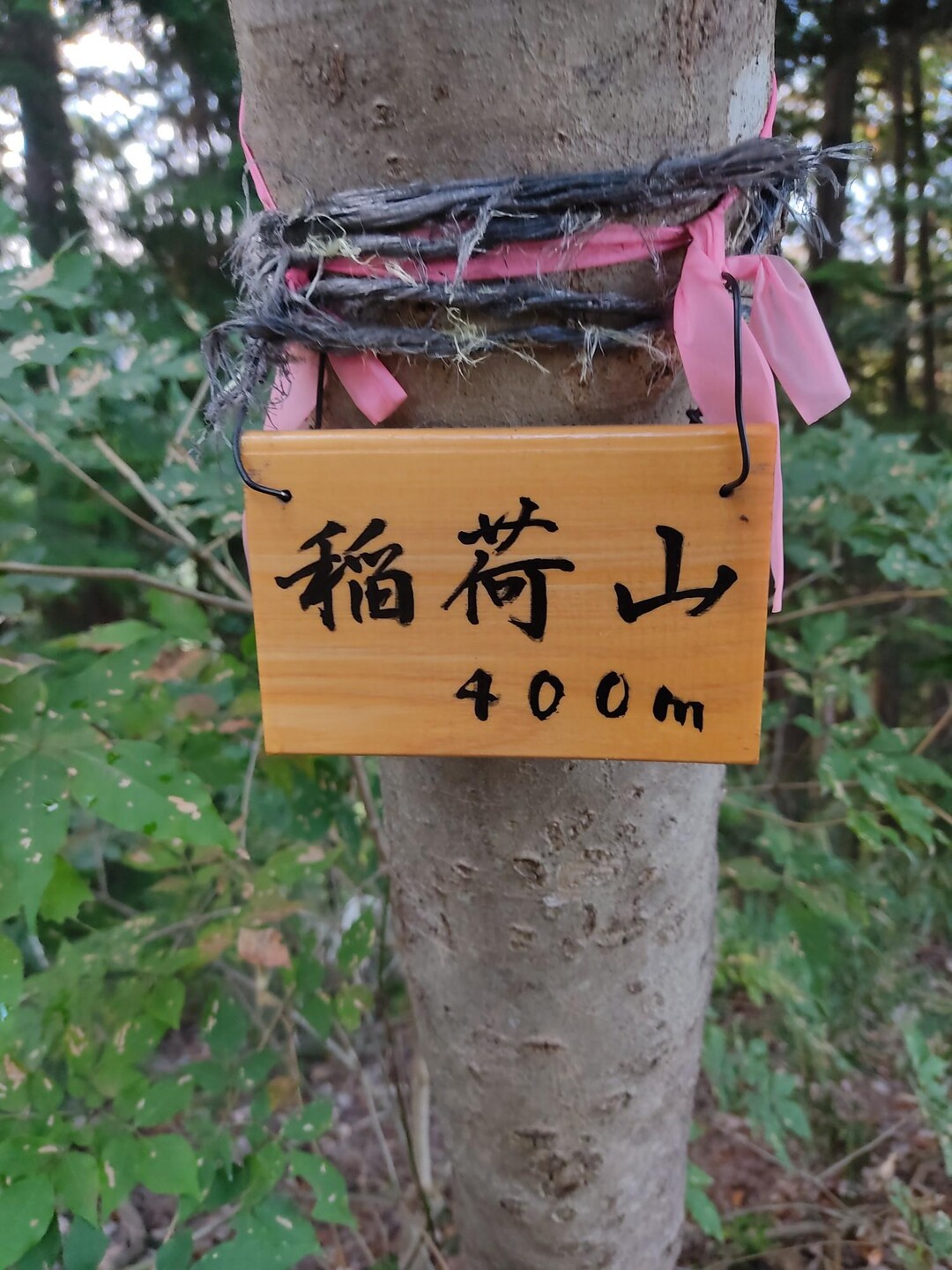 高尾山-一丁平 / kenkenさんのウォーキングの活動データ | YAMAP / ヤマップ