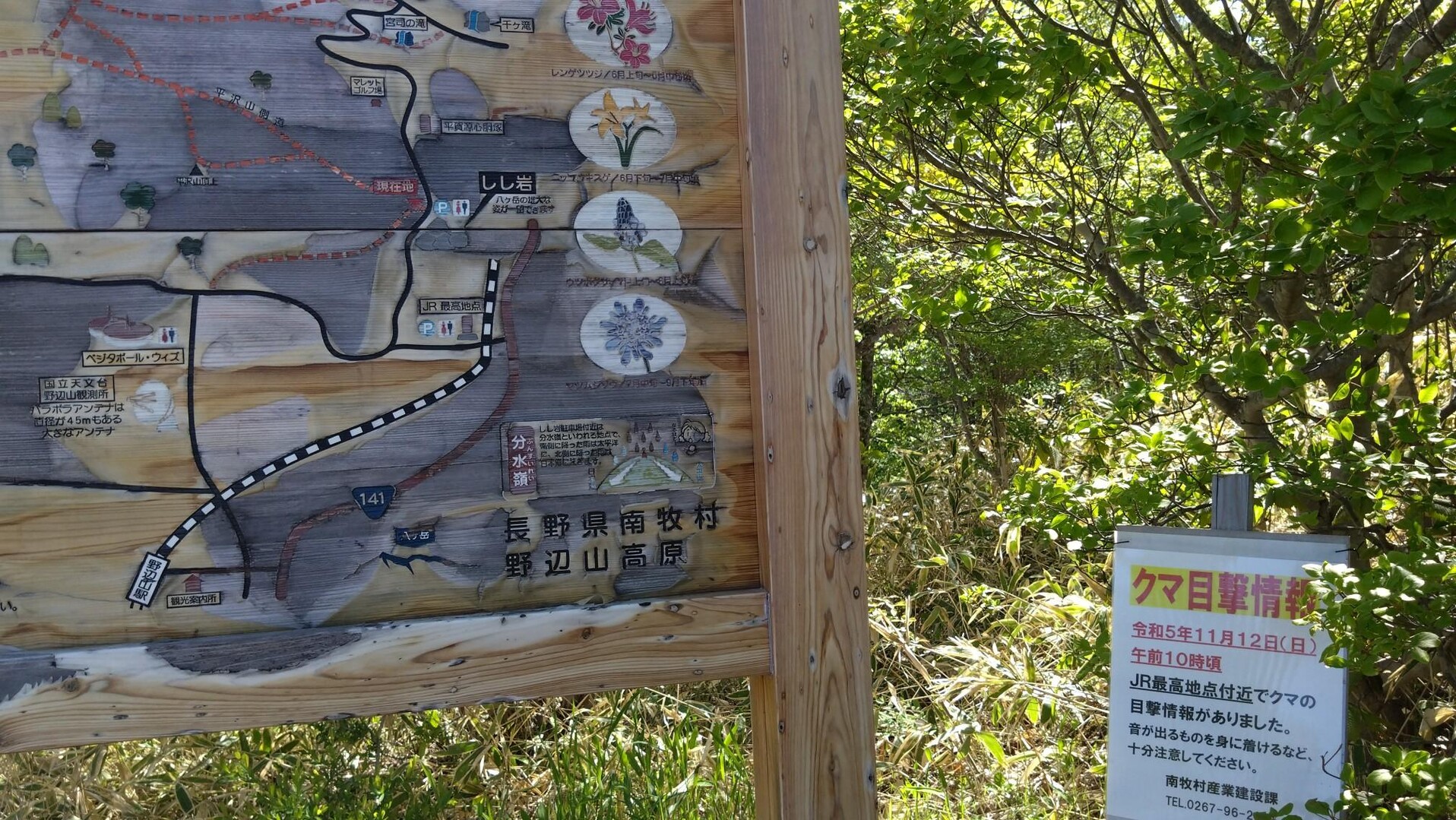 きのこ星人さんの投稿したフィールドメモ | YAMAP / ヤマップ