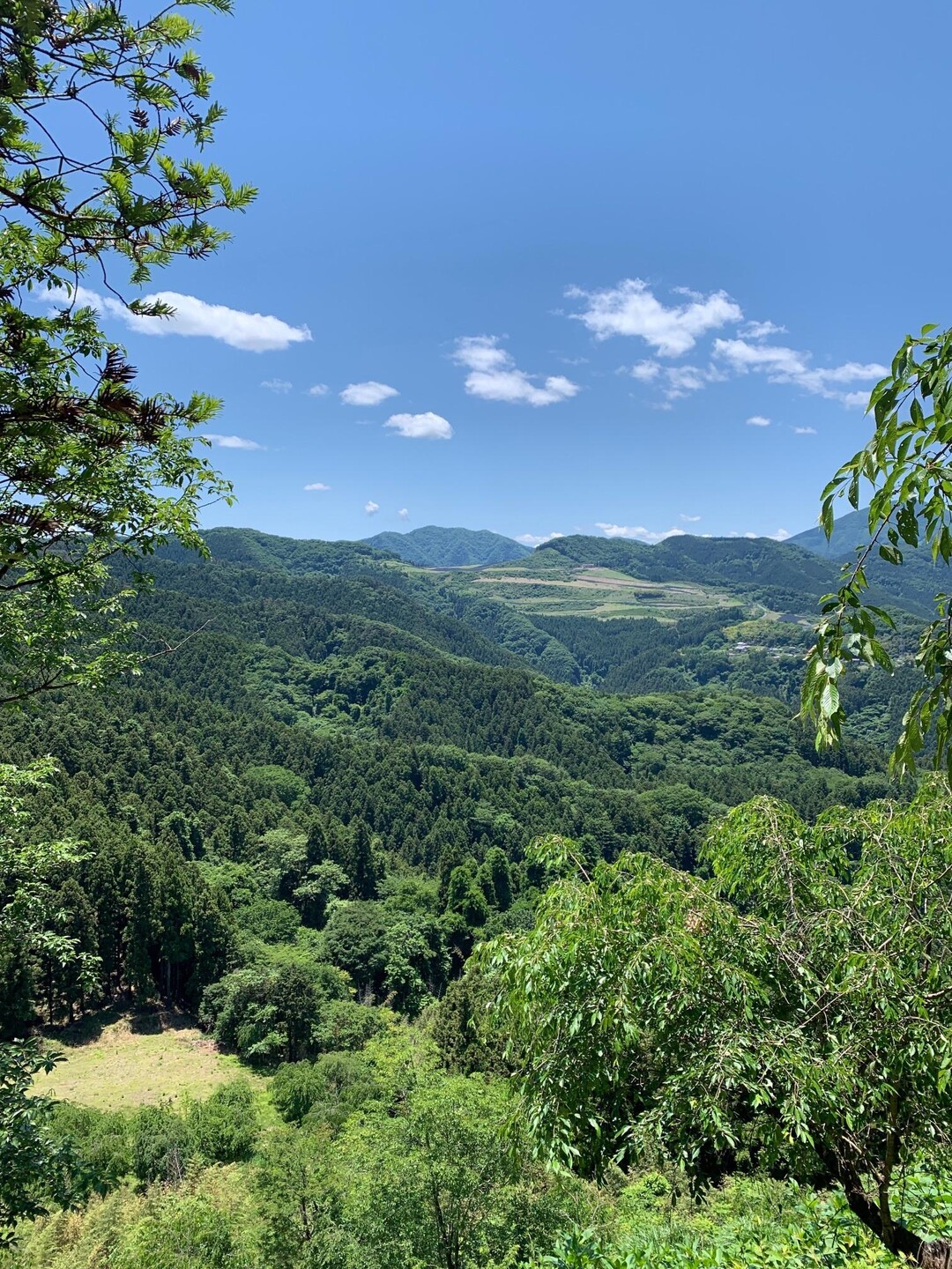 さくらやまトレイル25kmコース🏃 / てつやさんの御荷鉾山・オドケ山・桐ノ城山の活動日記 | YAMAP / ヤマップ