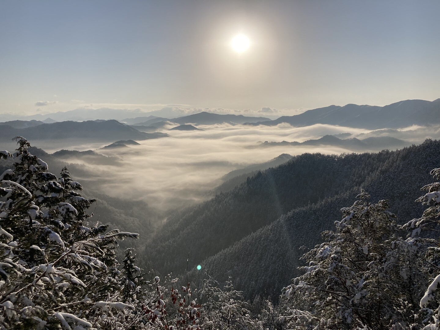 雲海がきれいに見えました。 / penta360さんのモーメント | YAMAP / ヤマップ