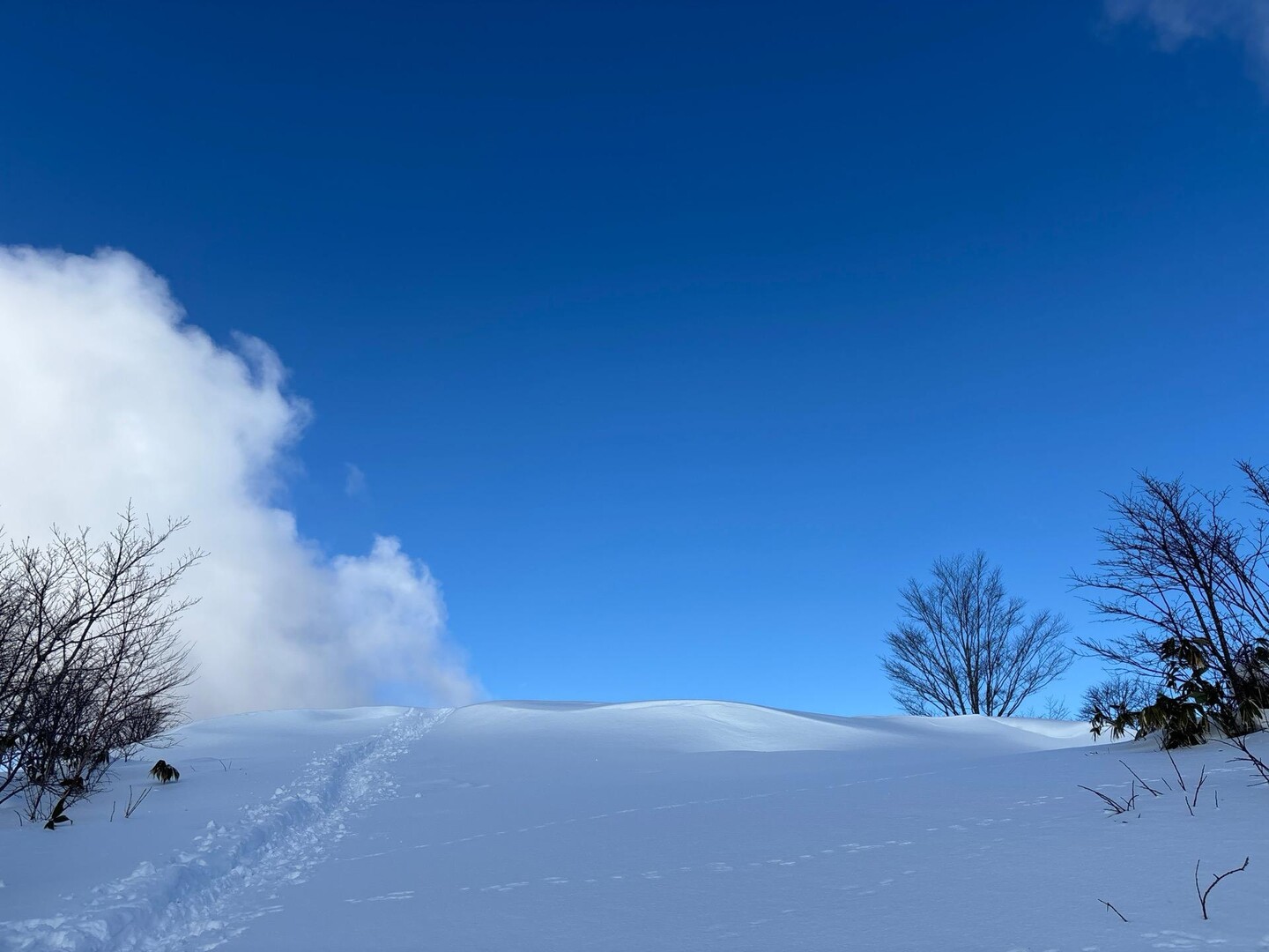 東根山歩 2025.01.25 / JJさんの南昌山・東根山・箱ヶ森の活動データ | YAMAP / ヤマップ