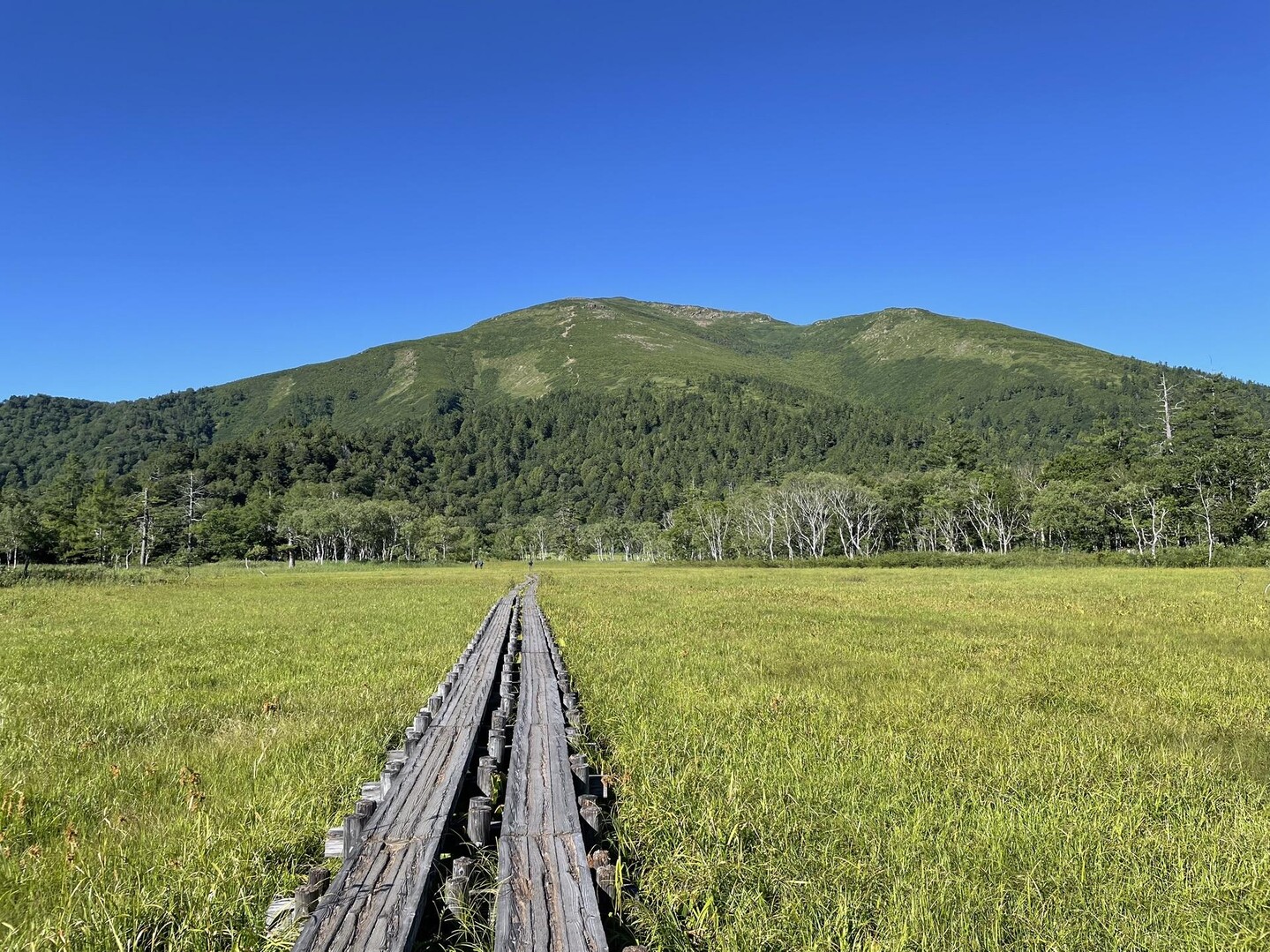 至仏山・小至仏山 / ryoさんの尾瀬・至仏山・悪沢岳・笠ヶ岳の活動データ | YAMAP / ヤマップ