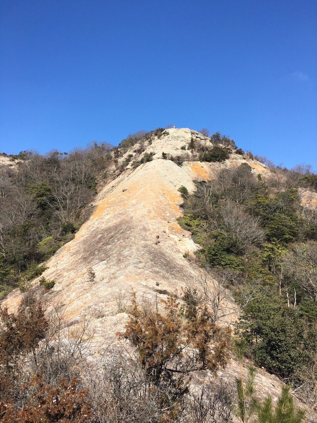 小野アルプス往復 / kaz-heroさんの小野アルプス（紅山・惣山）の活動データ | YAMAP / ヤマップ