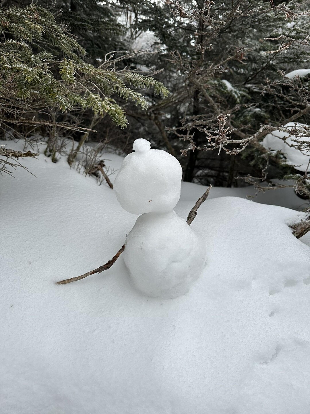 編笠山 / akkoさんの八ヶ岳（赤岳・硫黄岳・天狗岳）の活動データ | YAMAP / ヤマップ