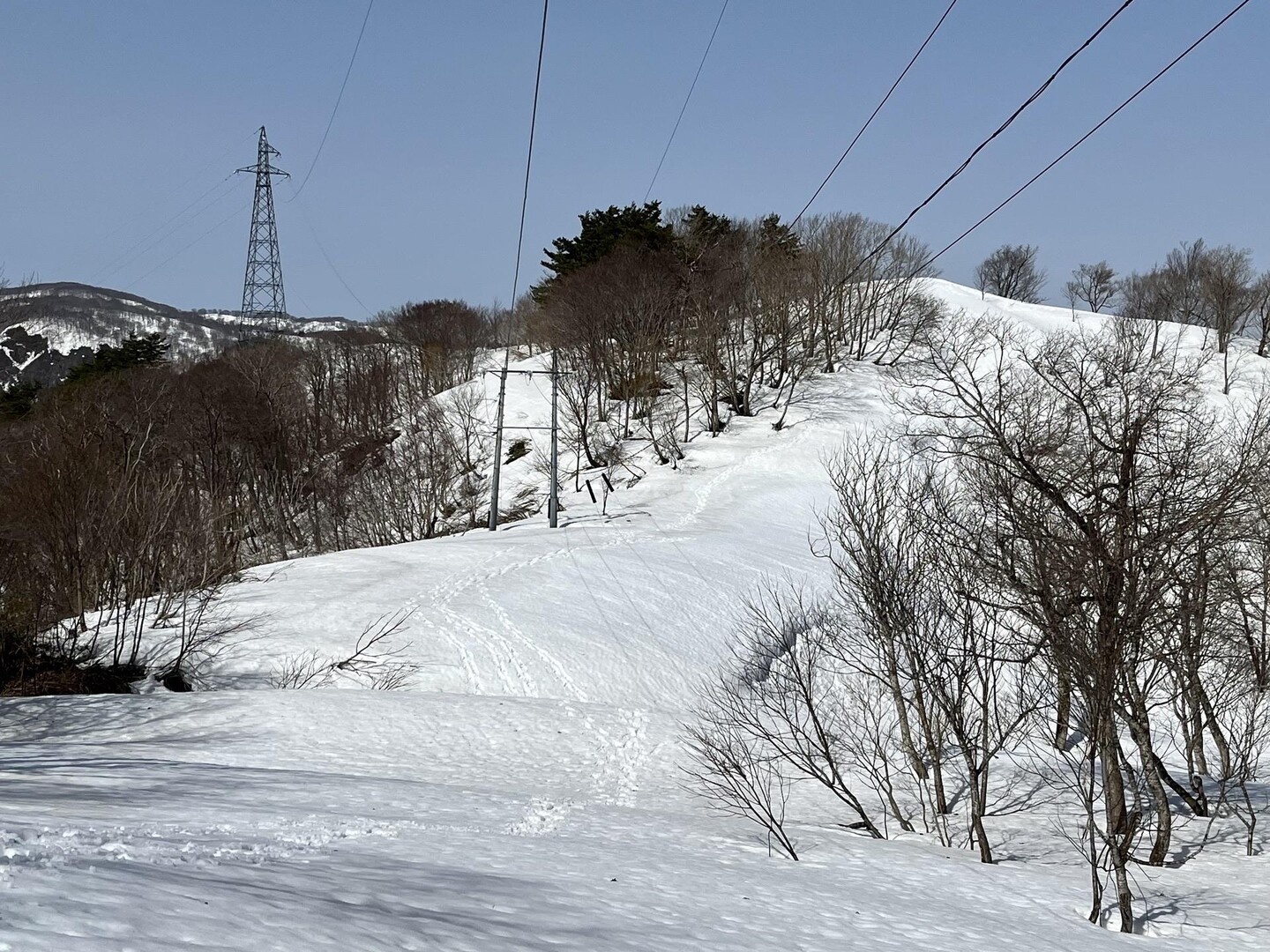 ミニ冒険の横根山😁🤨😆😊 / w823hさんの小国町の活動データ | YAMAP / ヤマップ