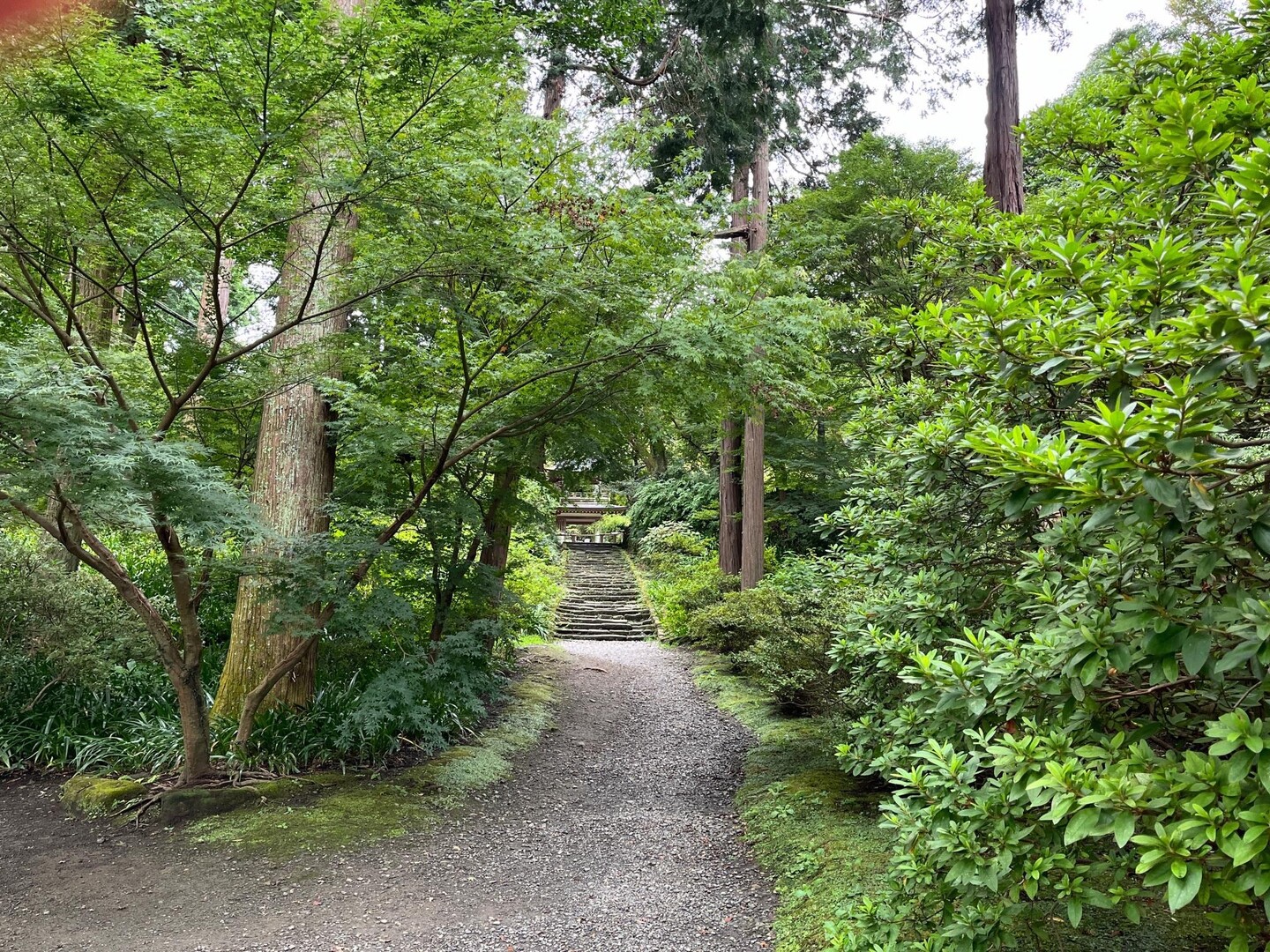 朝トレ（鎌倉アルプス） / takeyanさんの鎌倉アルプス（大平山・天台山）の活動データ | YAMAP / ヤマップ