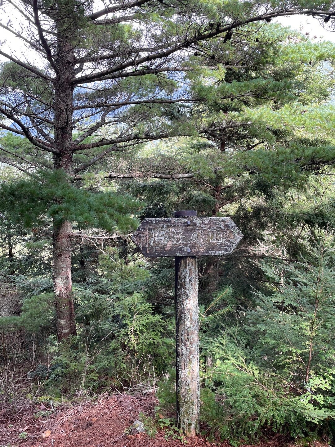 魔子 瑞牆山のついでにピークハント その1 / Early Birdさんの瑞牆山・金峰山の活動データ | YAMAP / ヤマップ