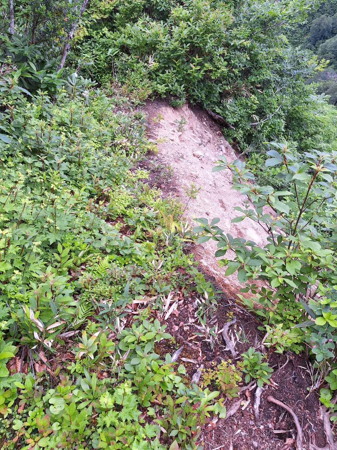 windさんの投稿したフィールドメモ | YAMAP / ヤマップ