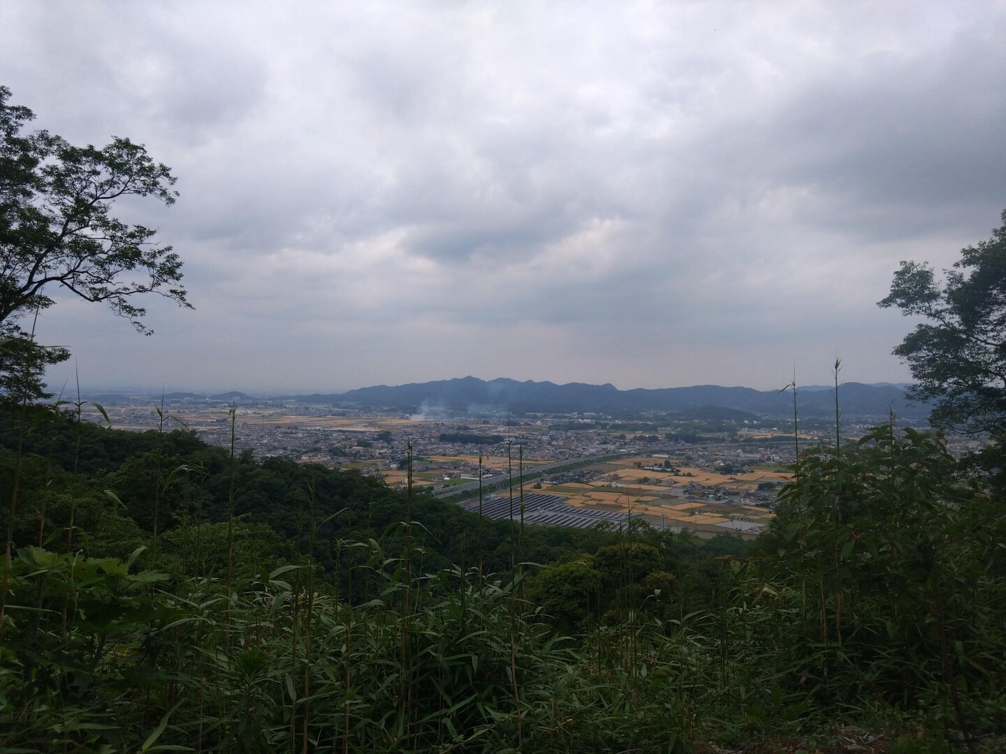 唐沢山 / USSAさんの三毳山の活動データ | YAMAP / ヤマップ