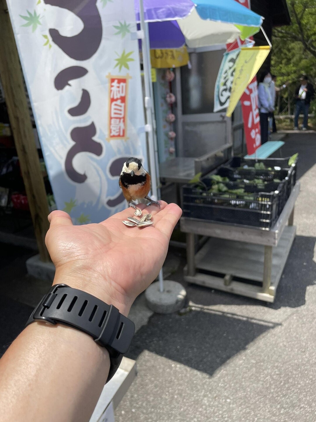 四国60番札所横峰寺 / brocken_sさんのモーメント | YAMAP / ヤマップ