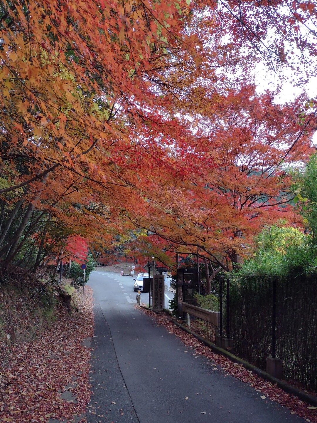 愛宕山 / ksさんの愛宕山・三頭山・朝日峯の活動データ | YAMAP / ヤマップ