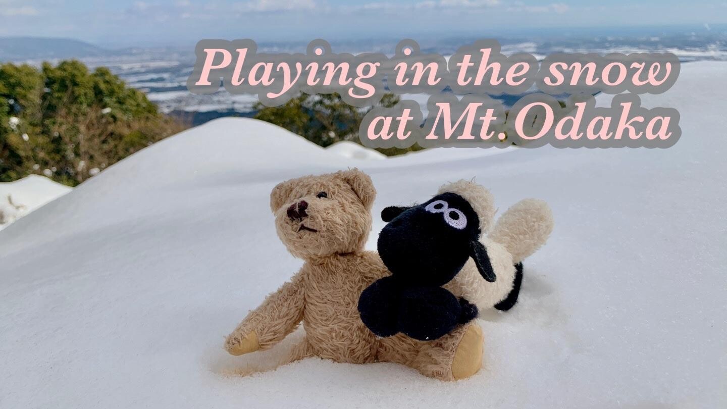 尾高山 de 雪遊び☃️ R5 #5 / 🐑るんな꒰ᵕ⑅̆ᵕ꒱さんの釈迦ヶ岳の活動データ | YAMAP / ヤマップ