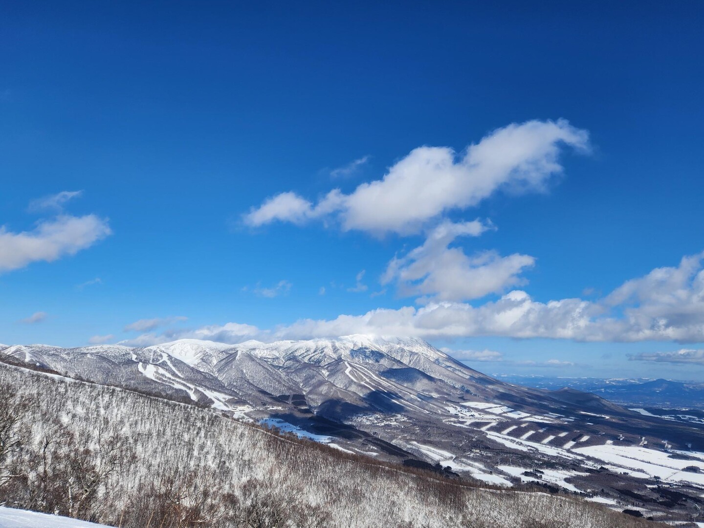 Day 14 / vivanoriさんのモーメント | YAMAP / ヤマップ