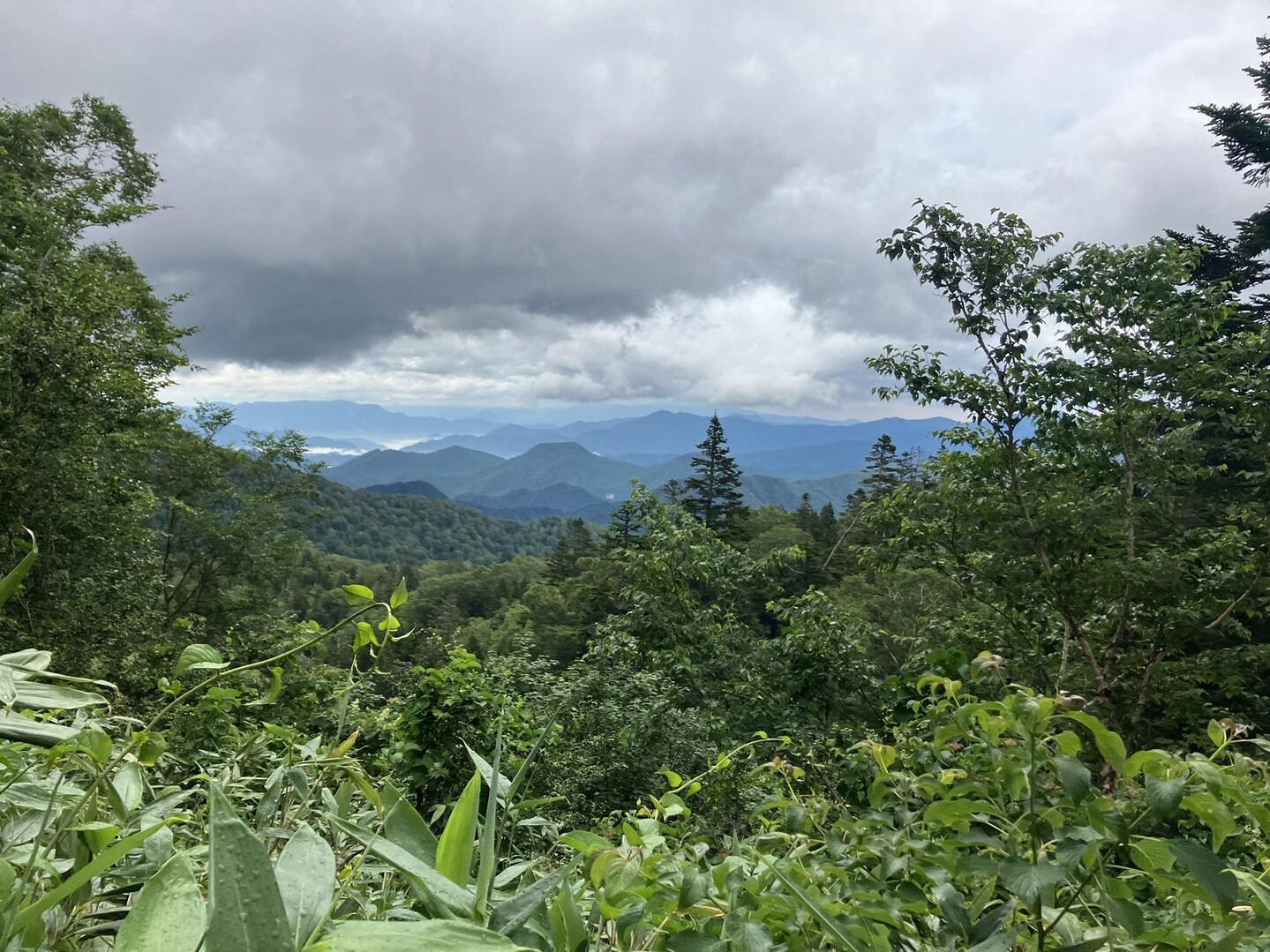 【日本百名山43座目】会津駒ヶ岳 / Shu.Tさんの会津駒ヶ岳の活動データ | YAMAP / ヤマップ