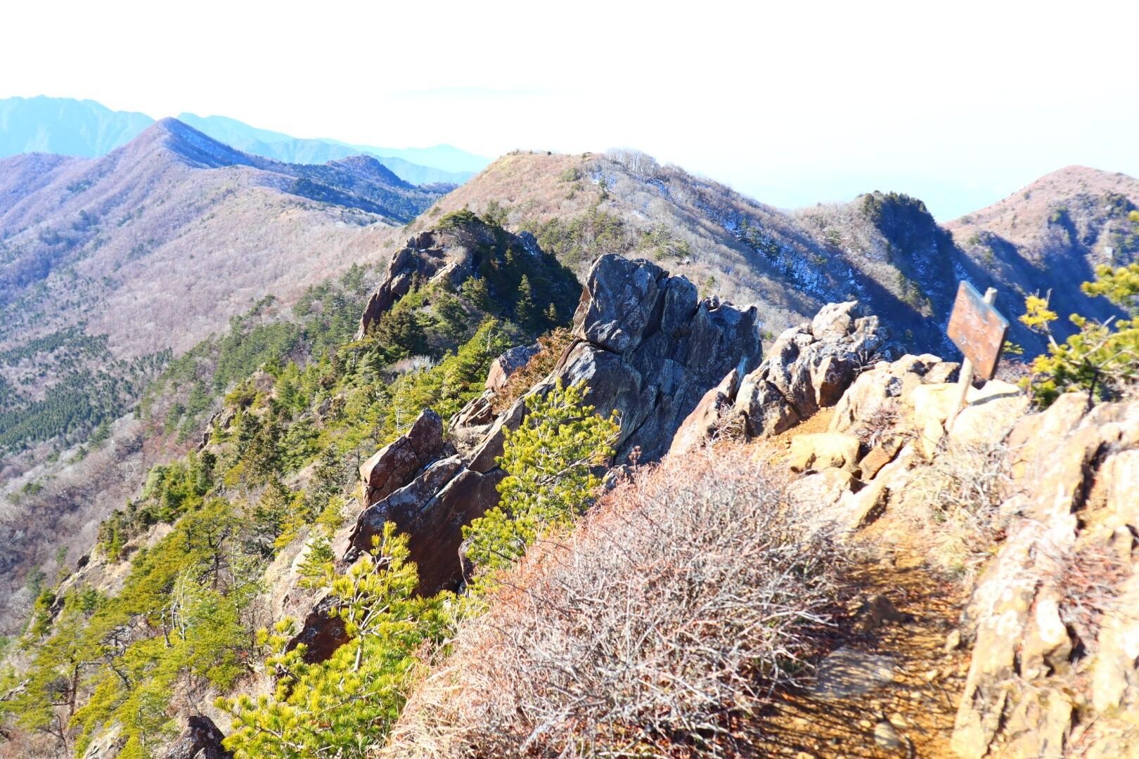 東山・西赤石山・物住頭・前赤石山 / Miekaさんの東赤石山・西赤石山・物住頭の活動データ | YAMAP / ヤマップ
