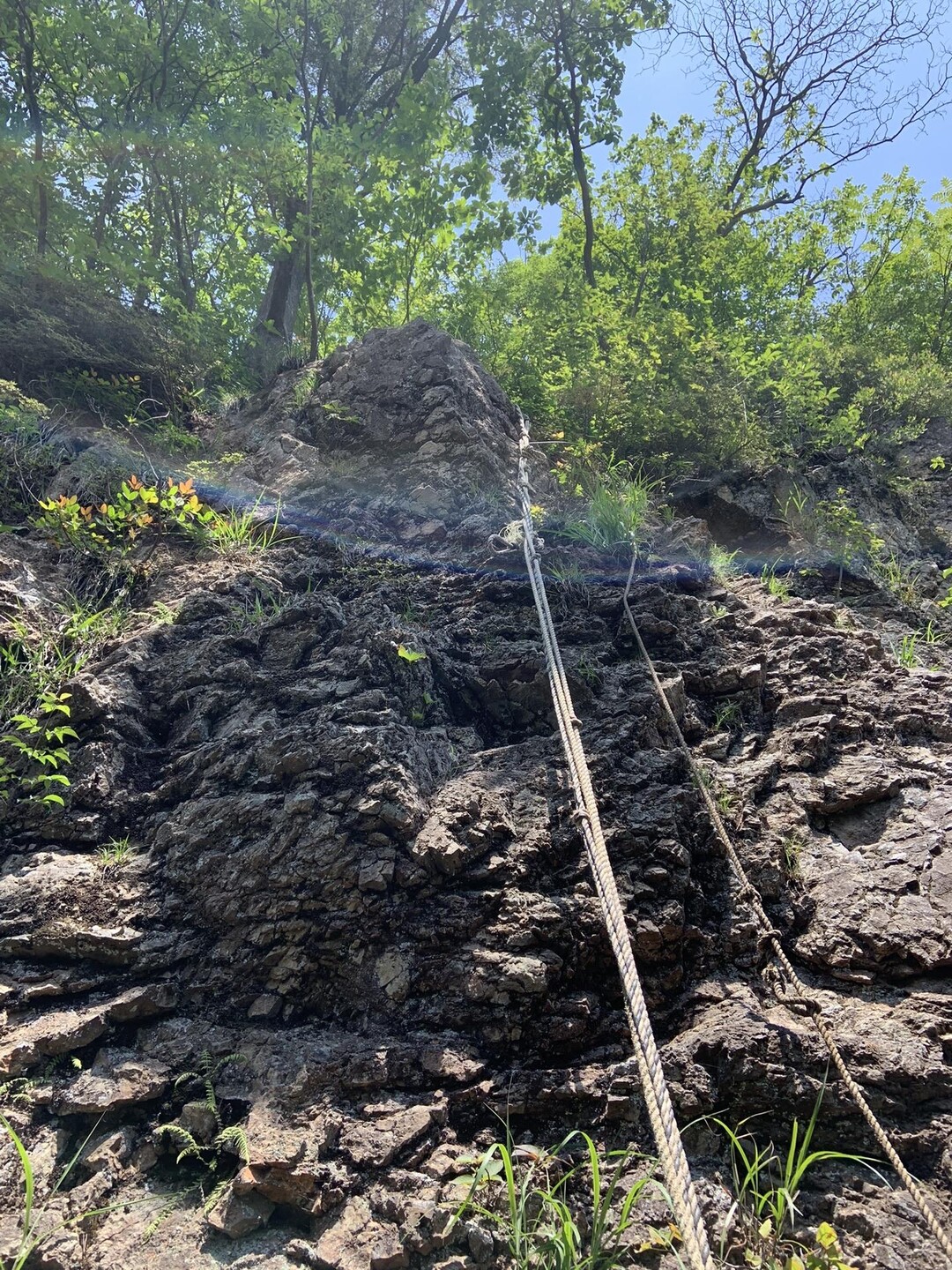 大岩・碧岩 / mini.TMKさんの碧岩・大岩の活動データ | YAMAP / ヤマップ