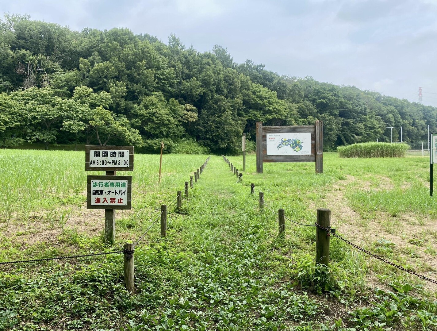 虫と一緒に古道を行く 七国山・諏訪ヶ岳 / Hisataka Gotoさんの鶴見川流域ウォーキングMAP（尾根歩き編）の活動データ | YAMAP / ヤマップ