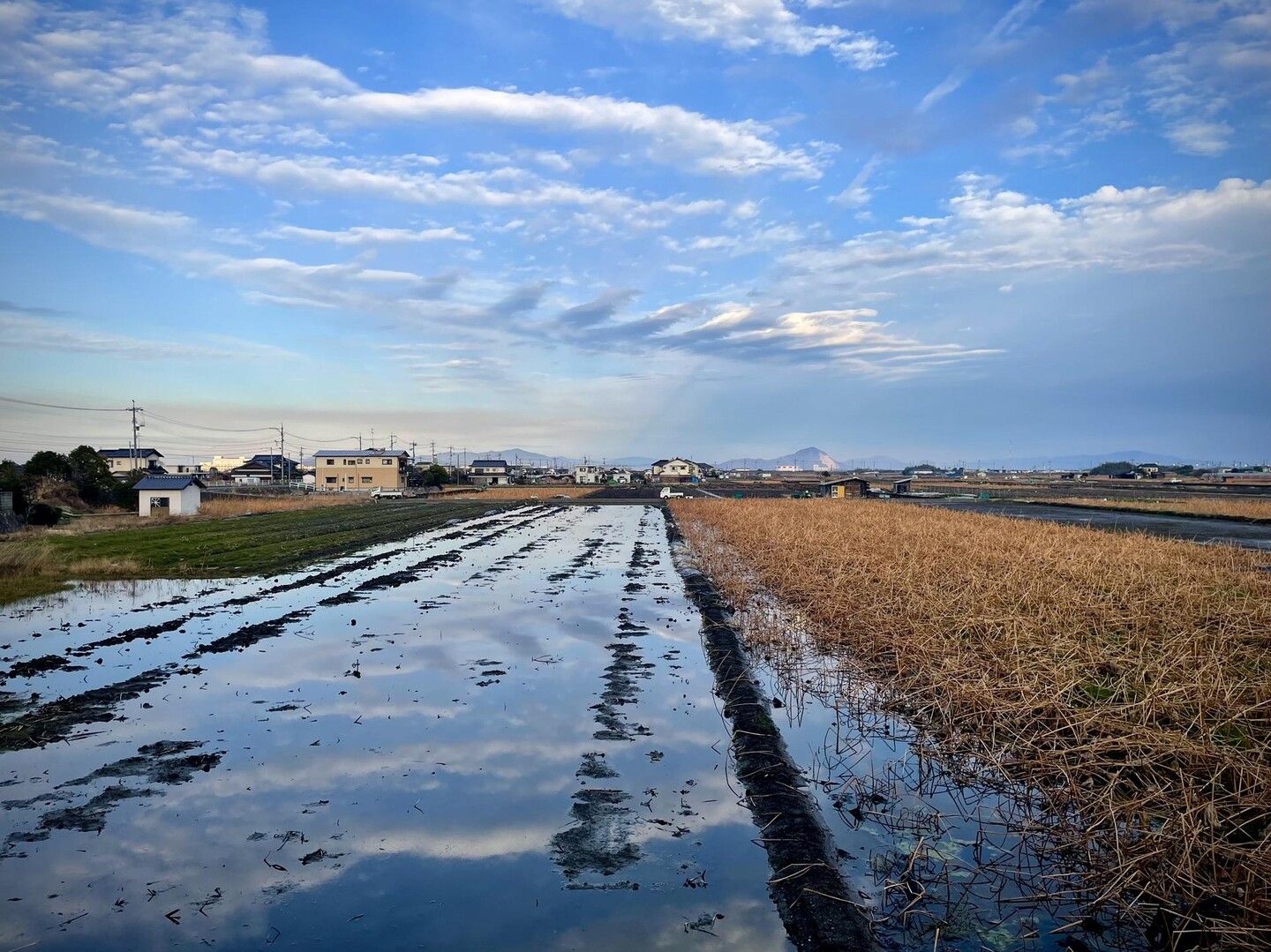 青空と雲と蓮田（リフレクション）が美しか... / GONKEさんのモーメント | YAMAP / ヤマップ