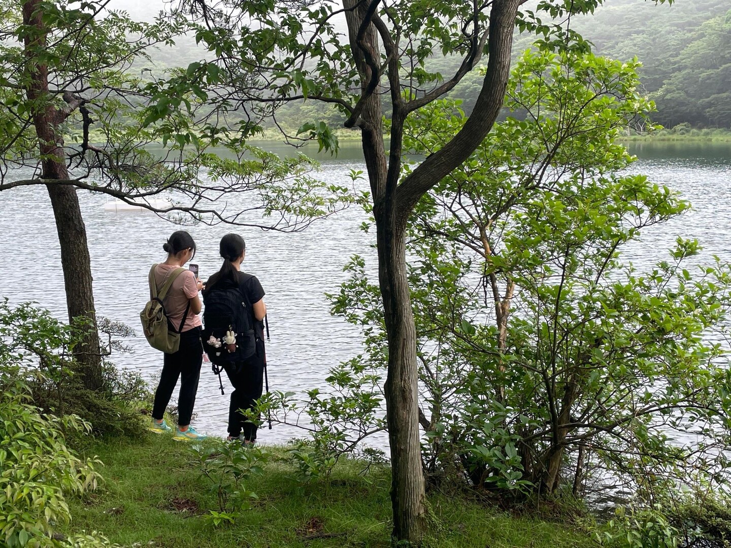 えびの高原 白紫池往復 二湖パノラマコース / life_colorsさんの霧島山・韓国岳・高千穂峰・夷守岳・烏帽子岳の活動データ | YAMAP / ヤマップ