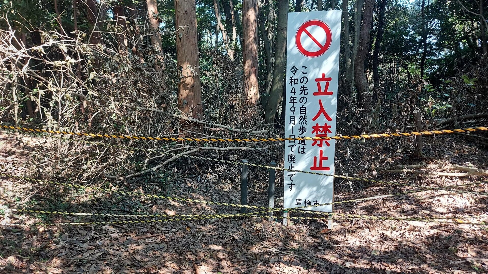 piropiroさんの投稿したフィールドメモ | YAMAP / ヤマップ