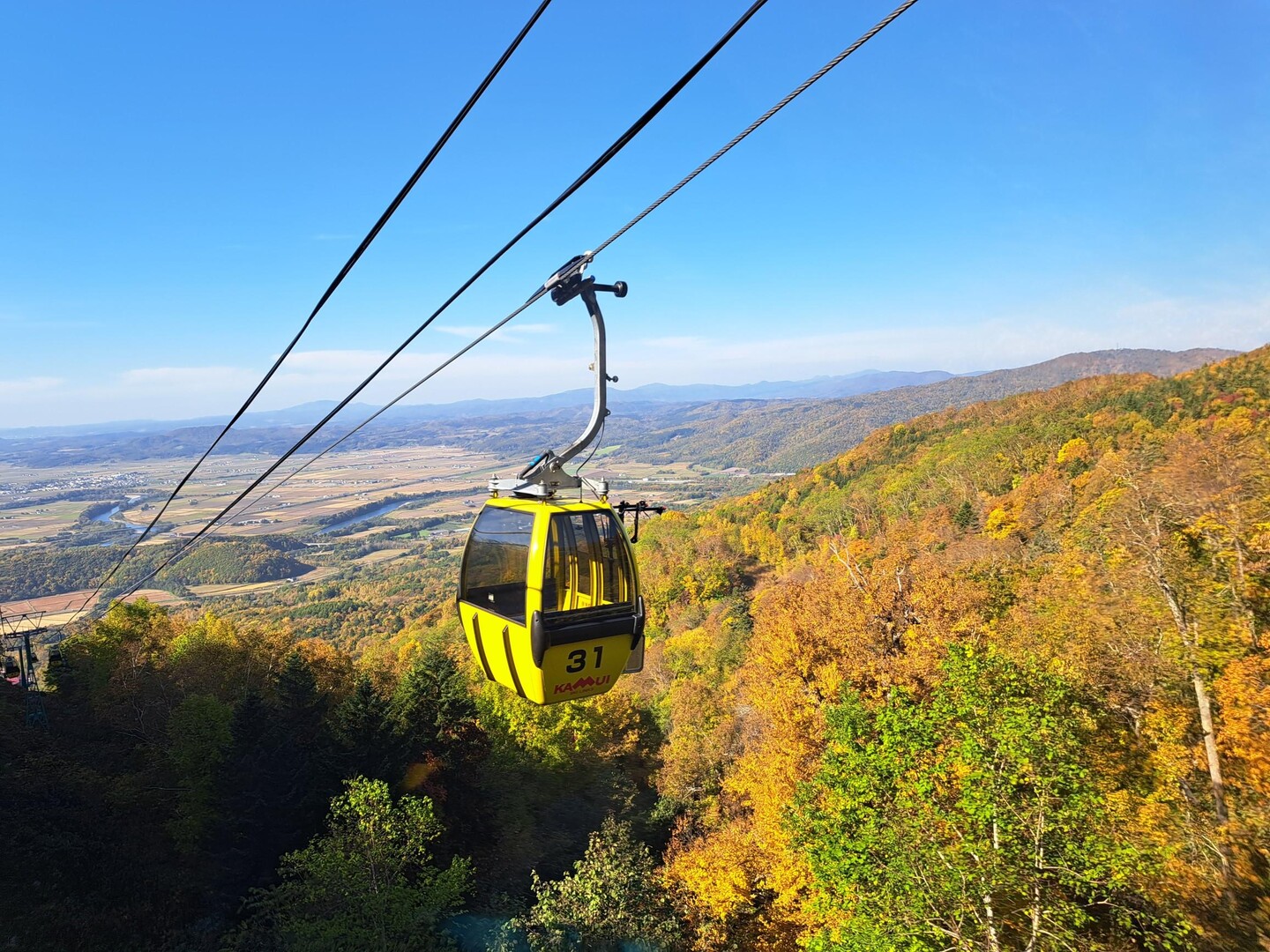神居山 / kazzさんの神居山の活動データ | YAMAP / ヤマップ