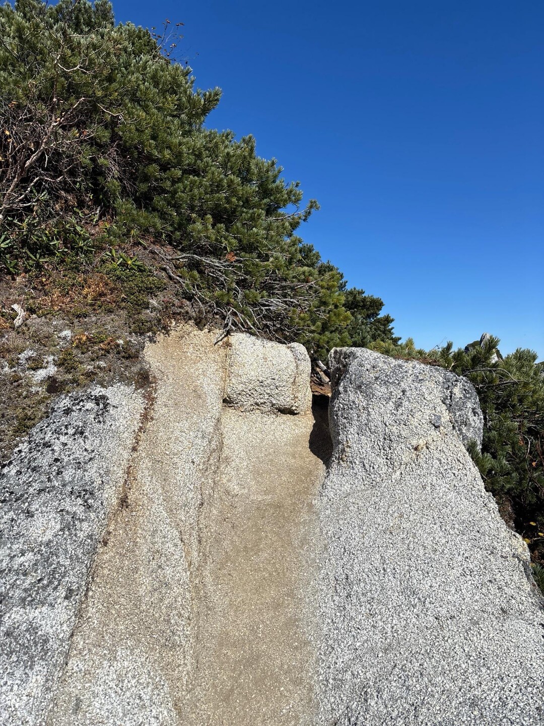 ttさんの投稿したフィールドメモ | YAMAP / ヤマップ